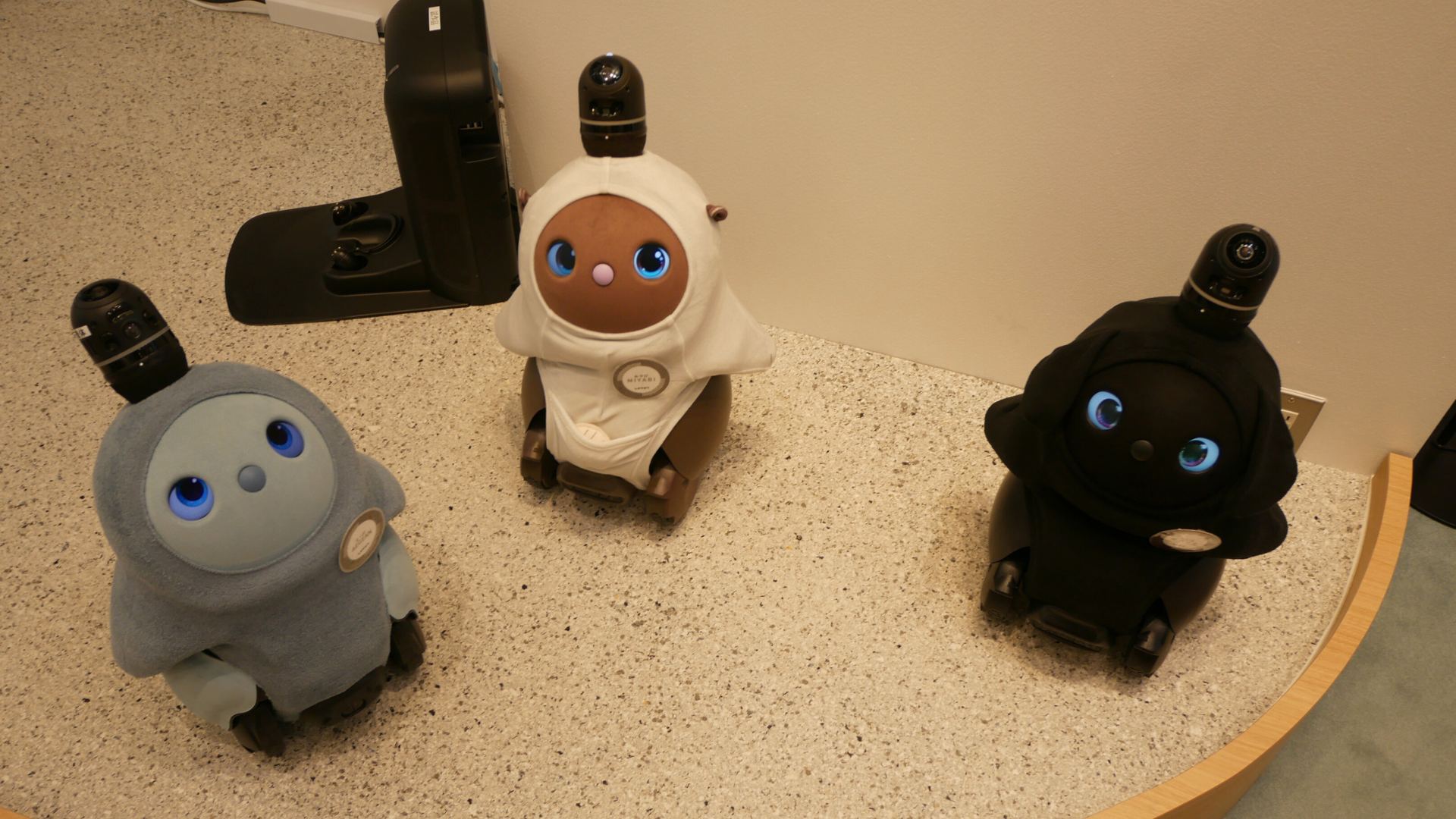 A robot that gradually becomes a family member, 『LOVOT』＜LOVOT Store ...