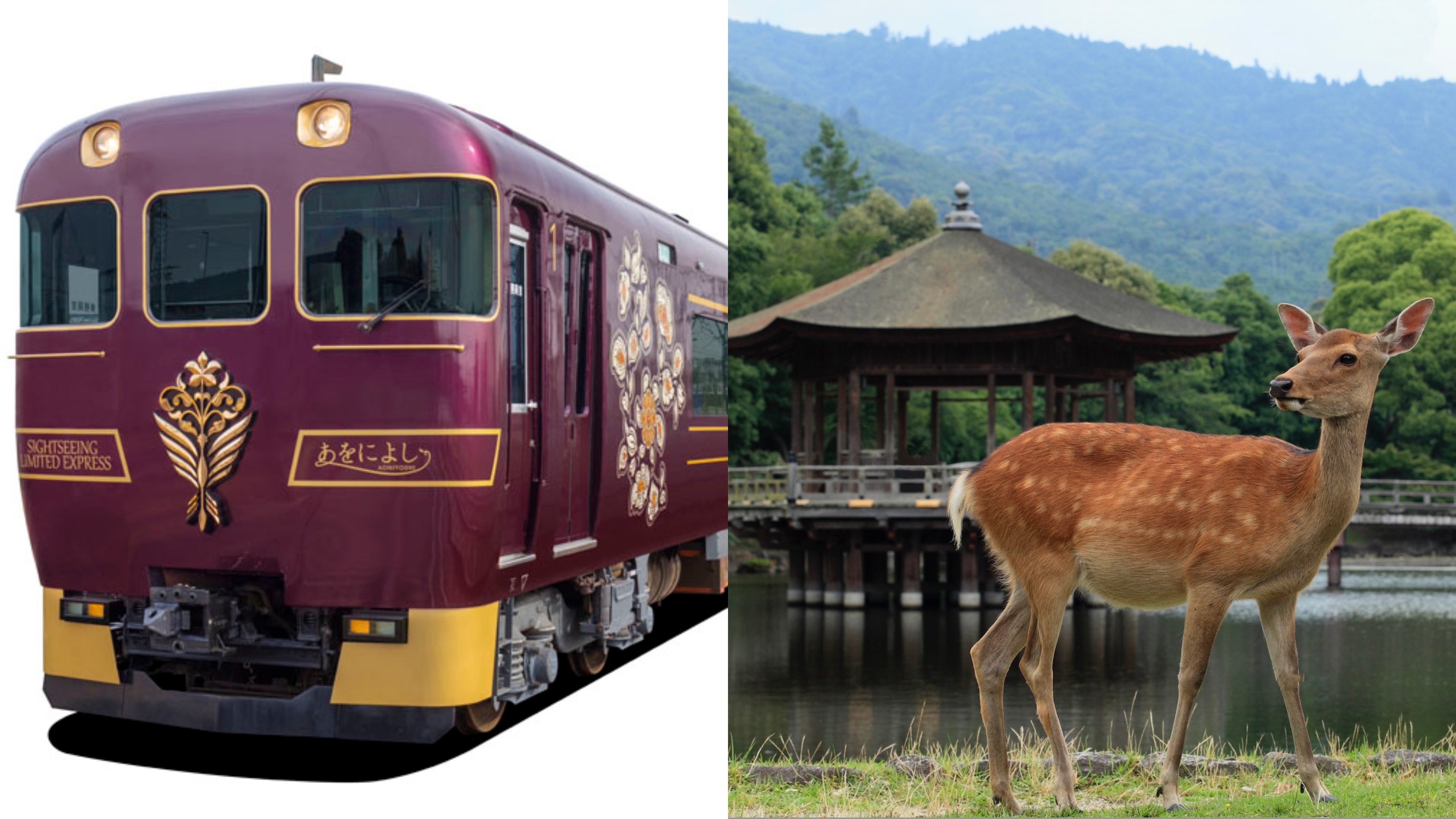 The train that the late Queen Elizabeth rode between Osaka, Kyoto and ...